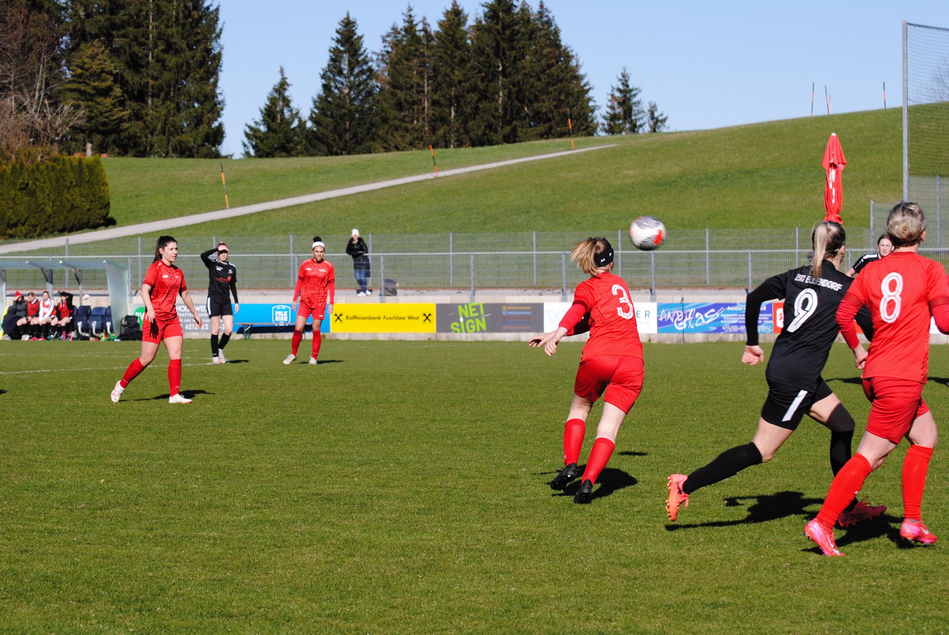 Frauen USK Hof - USC Eugendorf 06.04.25 - USK Hof
